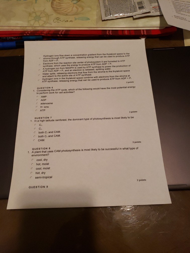 Solved can Hydrogen ions flow down a concentration gradient | Chegg.com