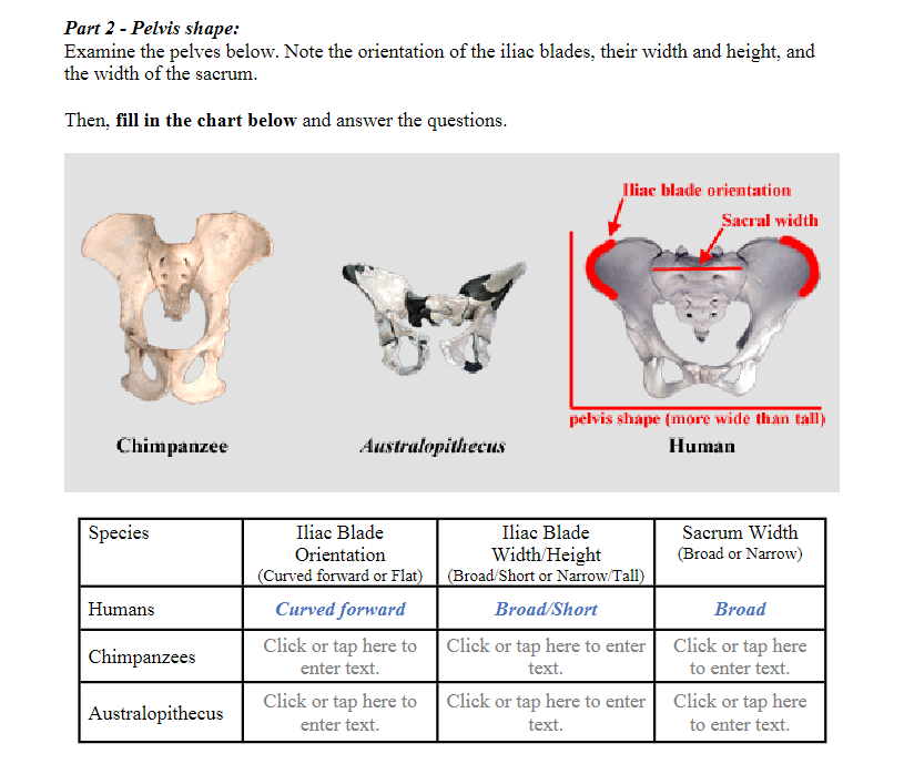 Solved Part 2 -Pelvis shape:Examine the pelves below. Note | Chegg.com