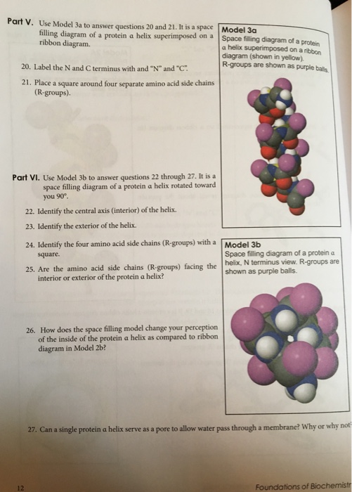 Solved Part V. Use Model 3a to answer questions 20 and 21. | Chegg.com