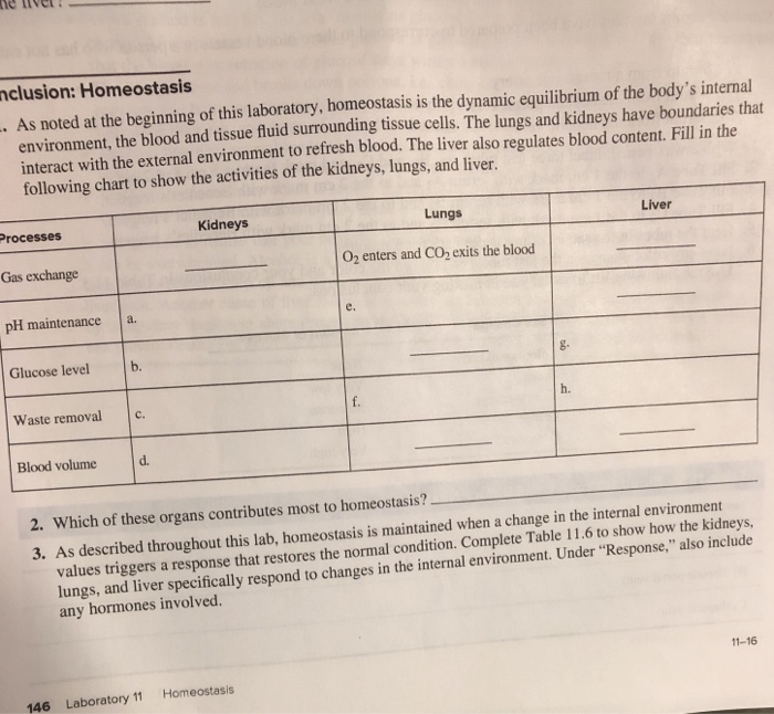 Solved nclusion: Homeostasis . As noted at the beginning of | Chegg.com
