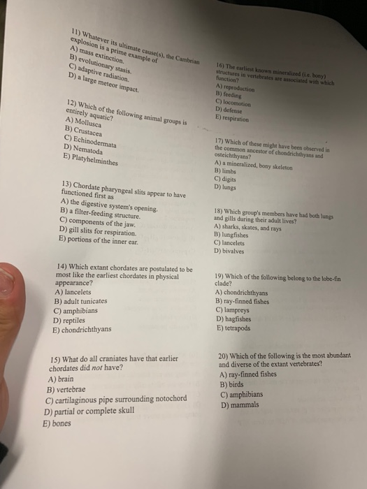 Solved Explosion Is A Prime Example Of A Mass Extinction B