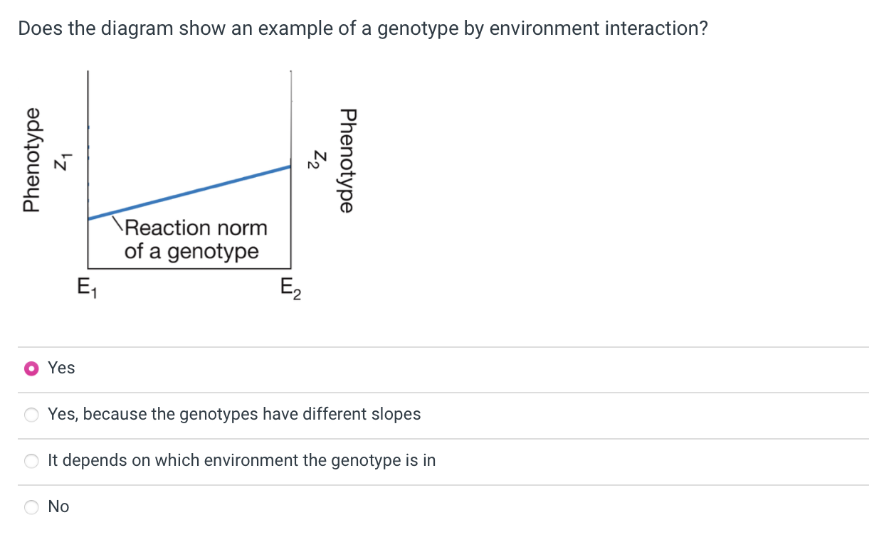 Solved Does the diagram show an example of a genotype by | Chegg.com