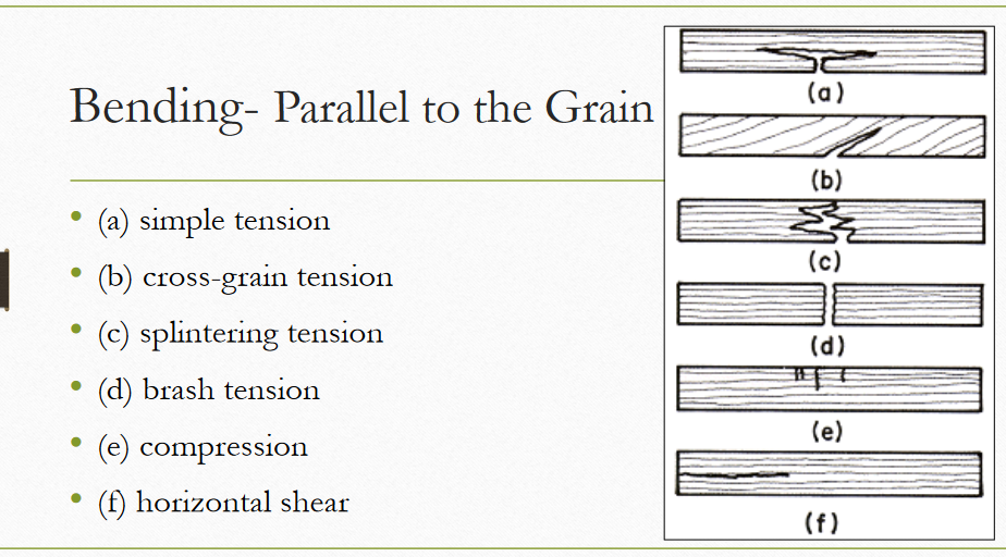 Solved Compression Test- Wood specimens "Wood differs from | Chegg.com