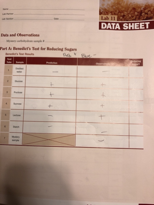 Solved 2 In Part A, your results should have indicated that | Chegg.com