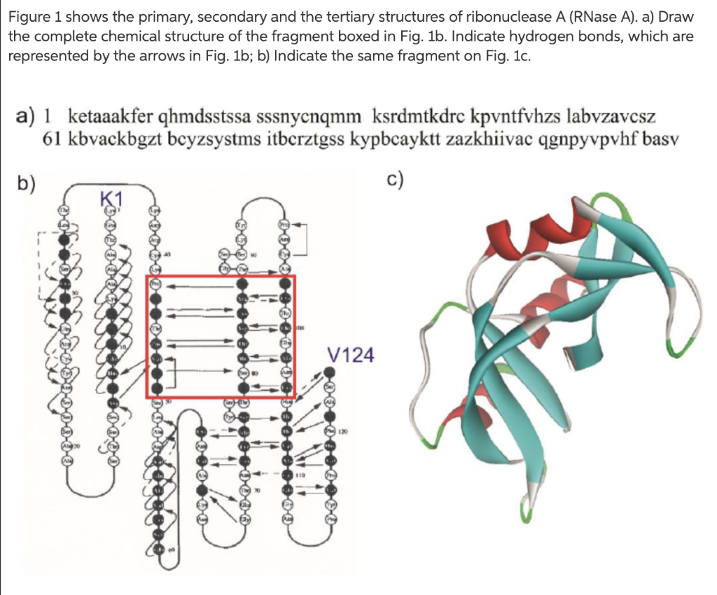 Figure 1 shows the primary, secondary and the | Chegg.com