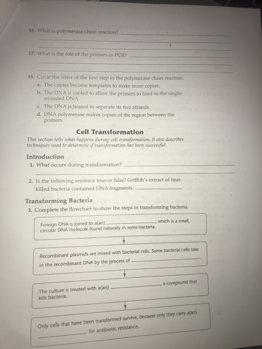 Gizmo Student Exploration Building Dna Answer Key : 2 - Explore ...