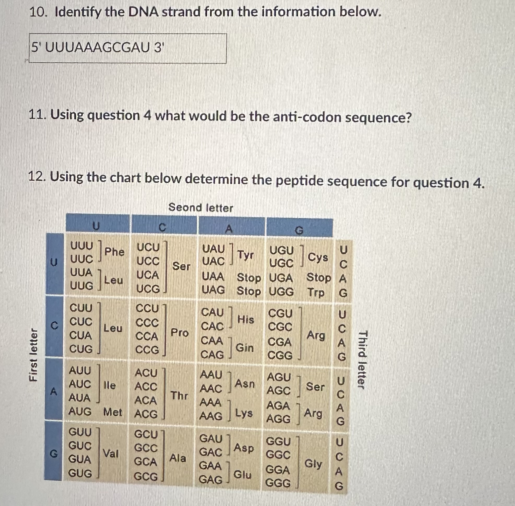 Identify the DNA strand from the information | Chegg.com