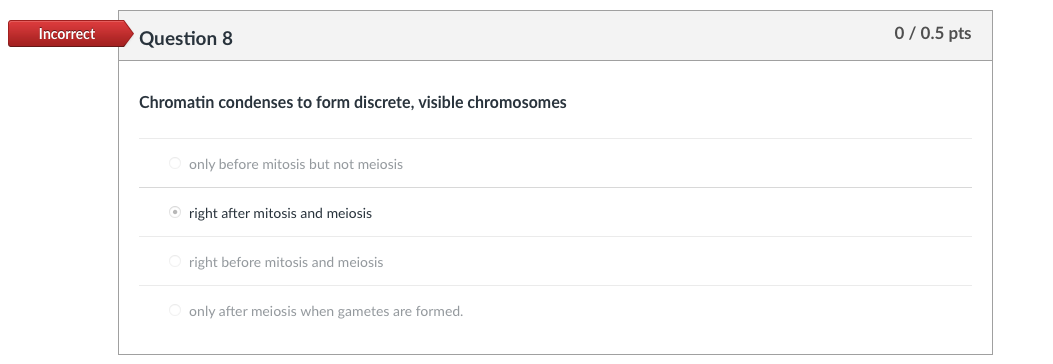 Solved Question 8 0/0.5pts Chromatin condenses to form | Chegg.com Solved Question 8 0/0.5pts Chromatin condenses to form | Chegg.com