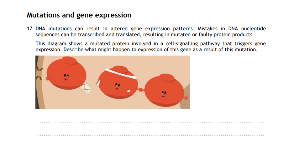 Solved Mutations and gene expression 17. DNA mutations can | Chegg.com