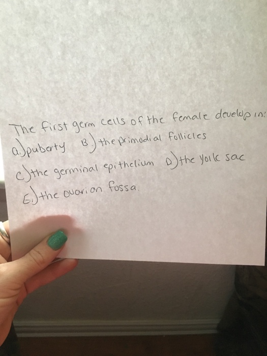 Solved The first germ cells of the female developing a) | Chegg.com