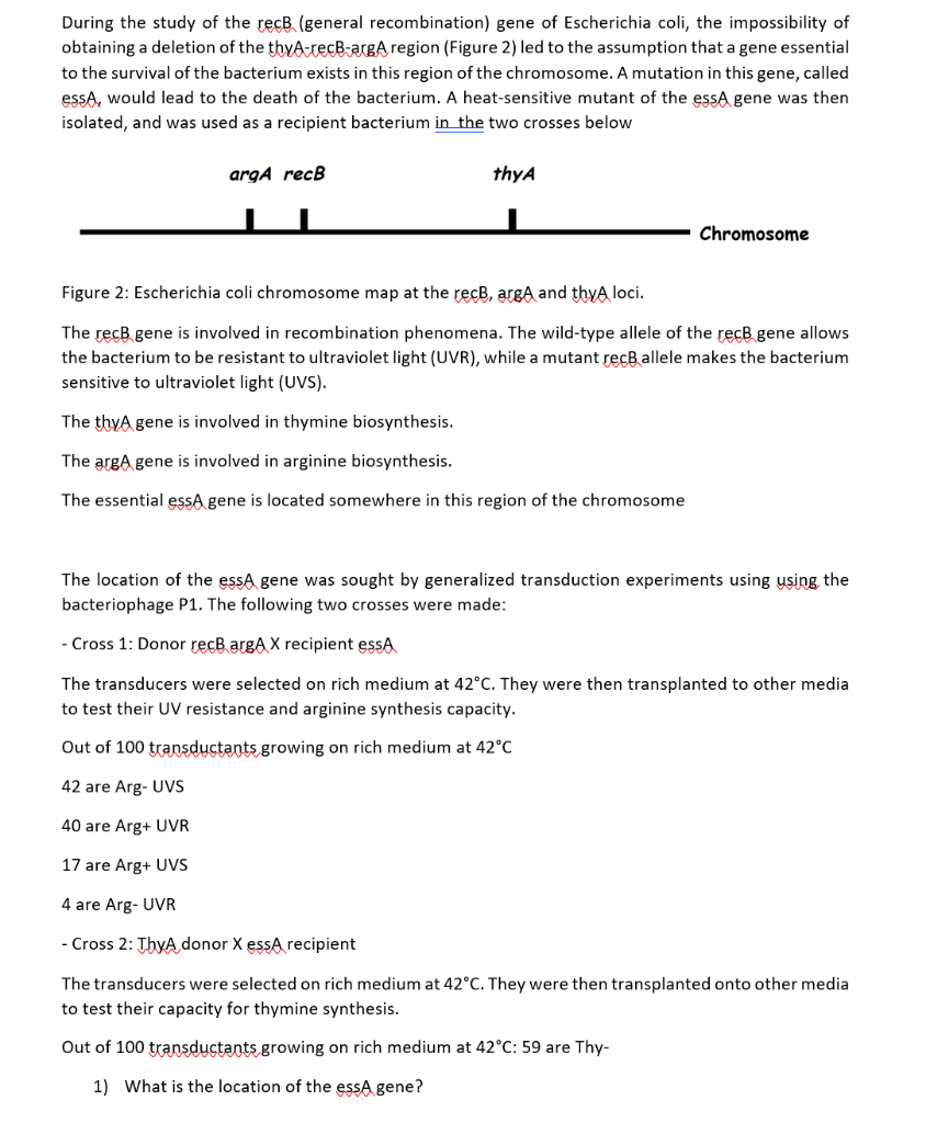 During the study of the recB (general recombination) | Chegg.com
