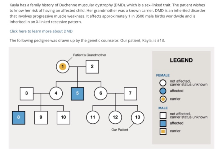 Solved 1.How did you determine the chances that Kayla's | Chegg.com