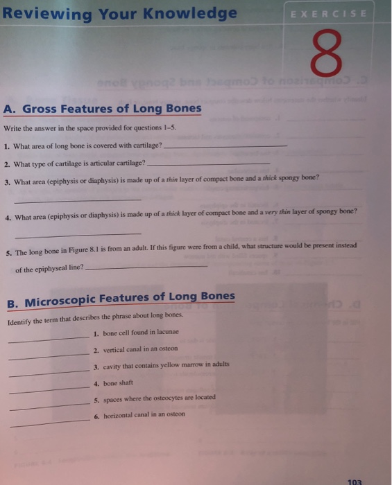 Solved Reviewing Your Knowledge EXERCISE A. Gross Fea Write | Chegg.com