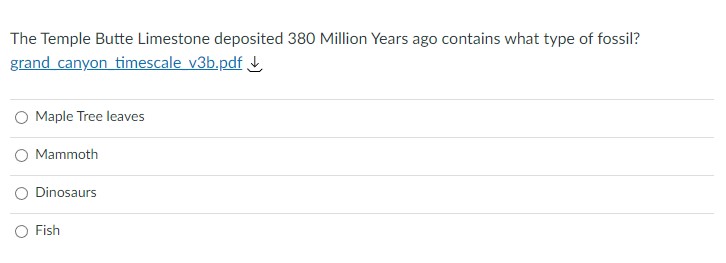 Solved Geologic Timeline of the Grand CanyonBased on the | Chegg.com