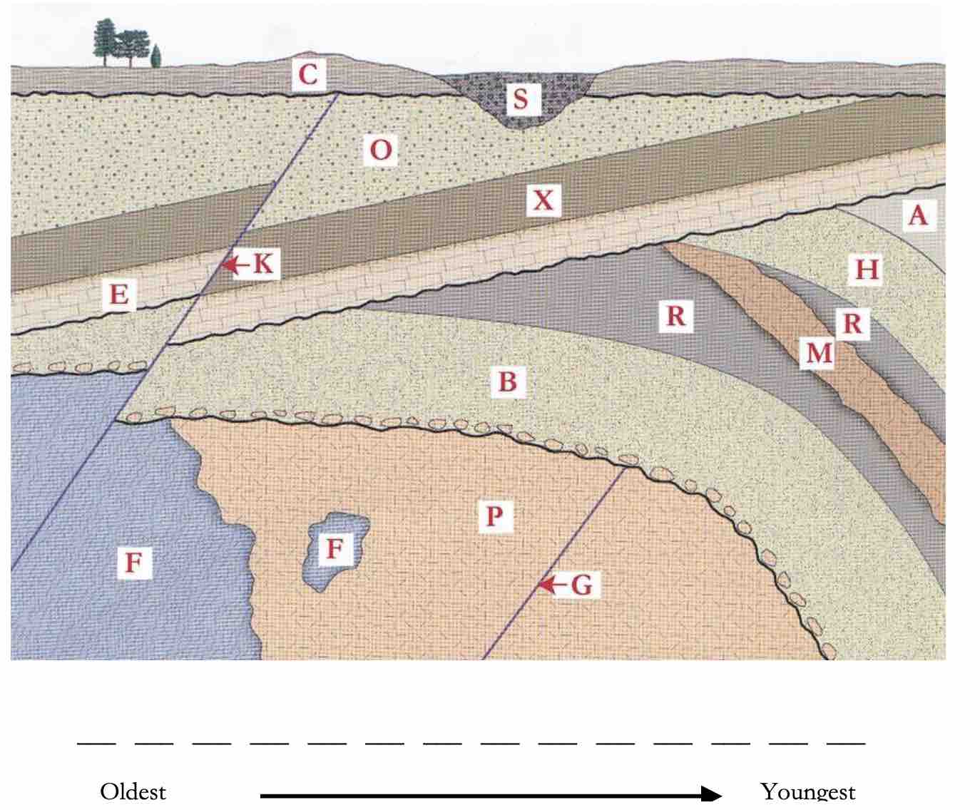 Solved Study the outcrop depicted below (Figure 1) and | Chegg.com