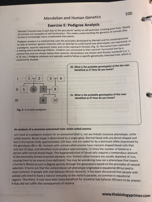 Solved 100 Mendelian and Human Genetics Exercise E: Pedigree | Chegg.com