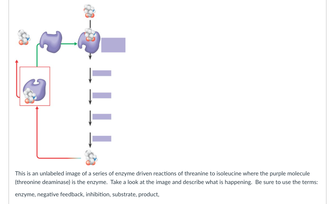 Solved This is an unlabeled image of a series of enzyme | Chegg.com