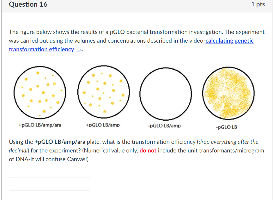 Solved The figure below shows the results of a pGLO | Chegg.com