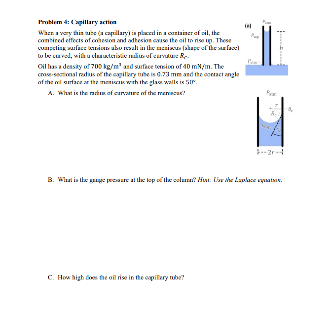 Solved Problem 4: Capillary action When a very thin tube (a | Chegg.com
