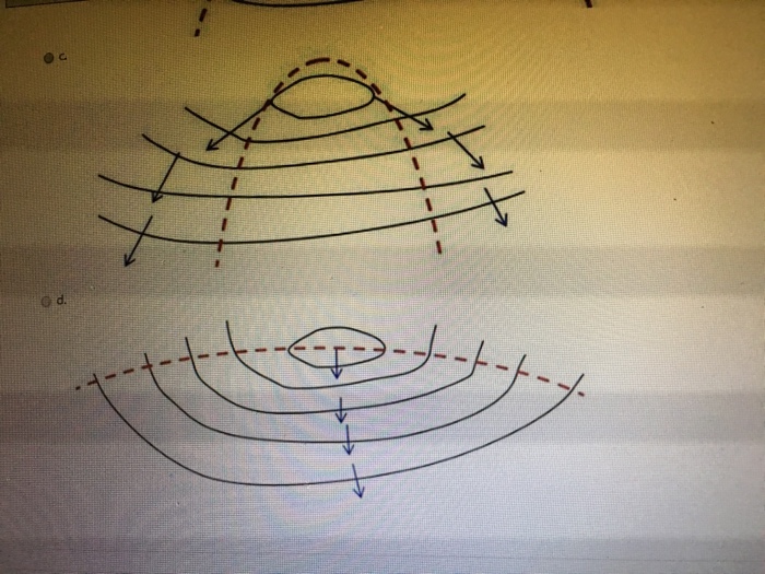 Solved et the most appropriate start of the delineation of a | Chegg.com