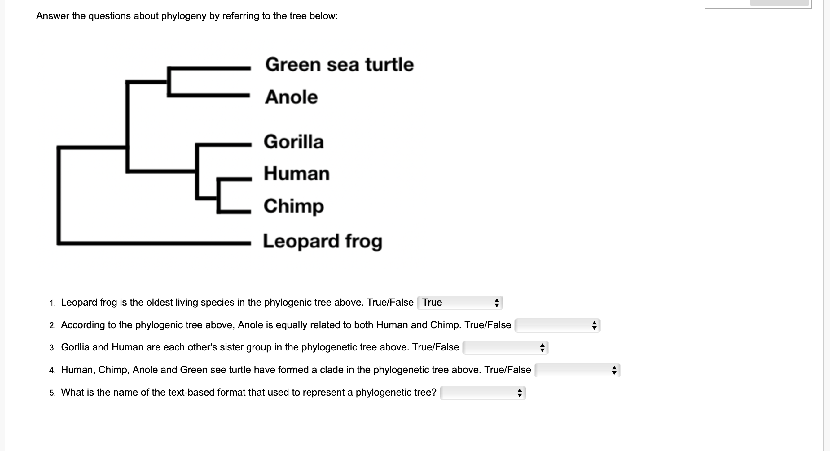 Solved Answer the questions about phylogeny by referring to | Chegg.com