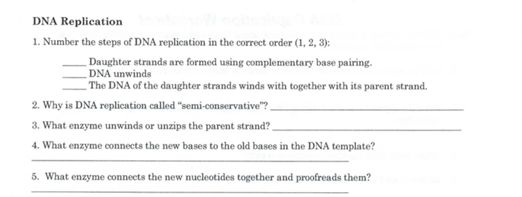 Solved DNA Replication 1. Number the steps of DNA | Chegg.com