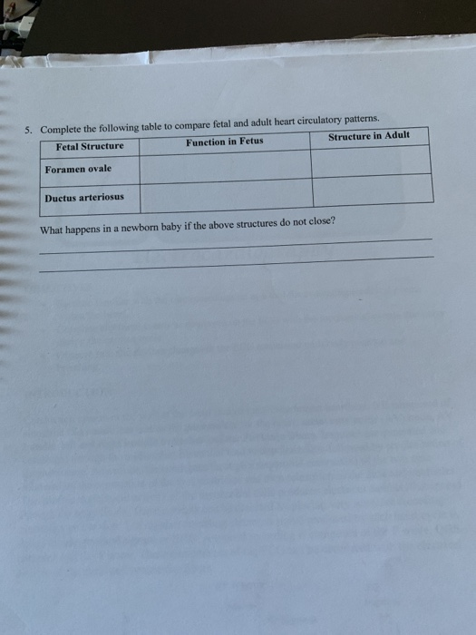 Solved 5. Complete the following table to compare fetal and | Chegg.com