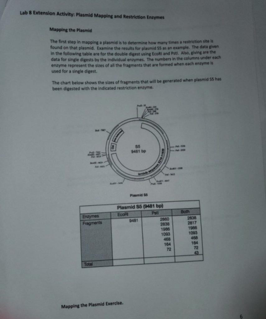 Solved Lab 8 Extension Activity: Plasmid Mapping and | Chegg.com