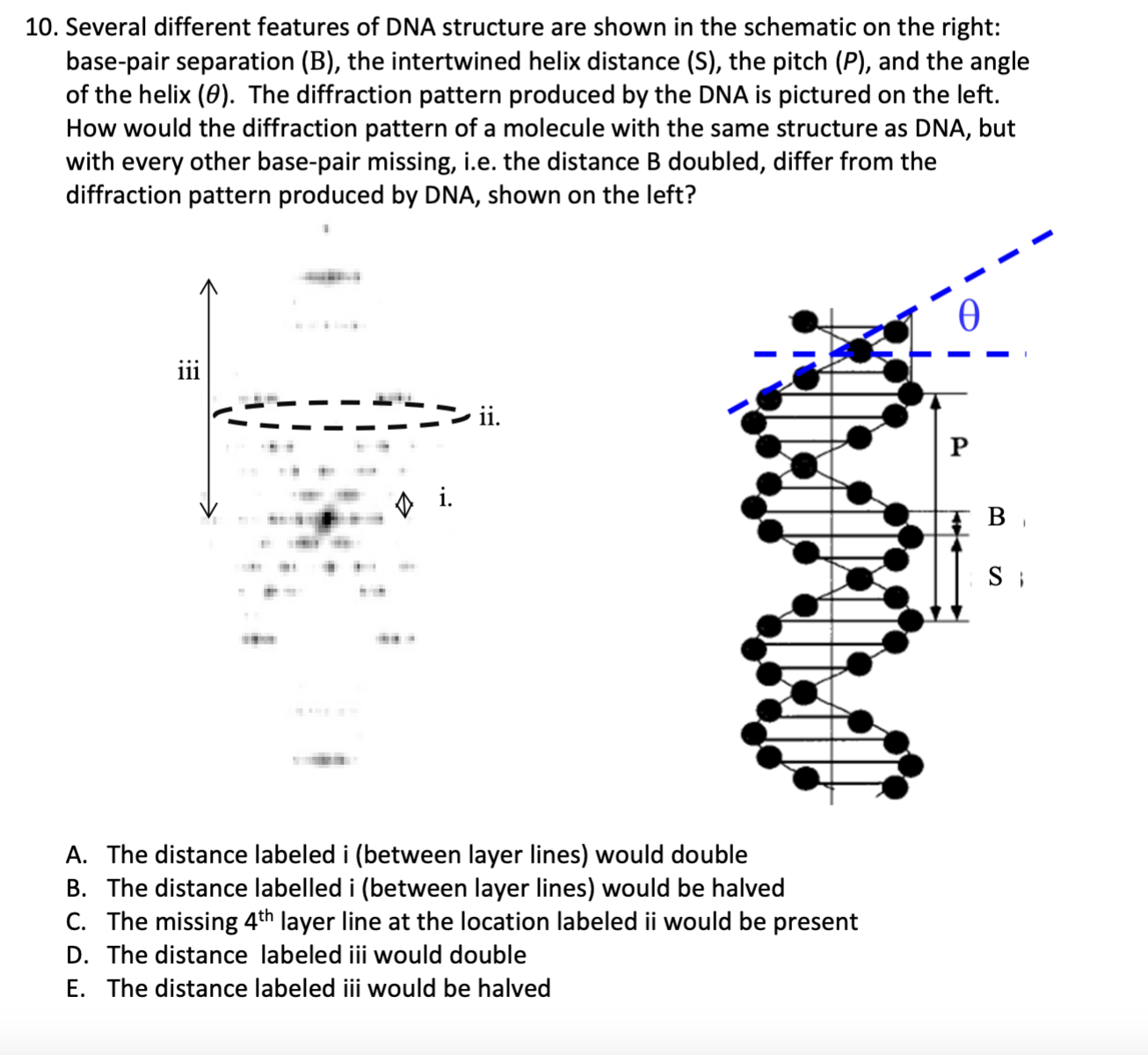 Solved 10. Several different features of DNA structure are | Chegg.com
