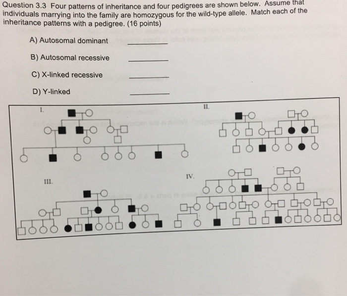 Solved that Question 3.3 Four patterns of inheritance and | Chegg.com