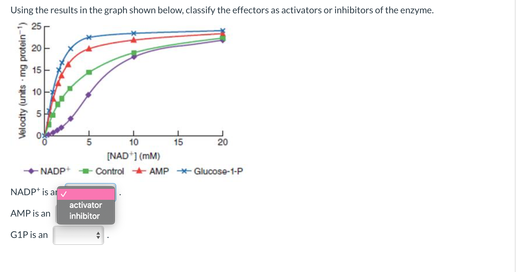 The thermophilic archaebacterium Thermoproteus tenax | Chegg.com
