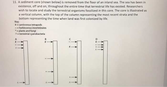 Solved 11. A sediment core (shown below) is removed from the | Chegg.com