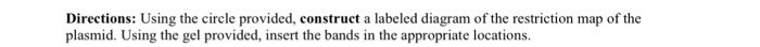 Solved Directions: Using the circle provided, construct a | Chegg.com