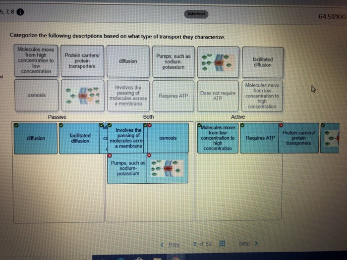 Solved 5,7,86 6451/100 Categorize the following descriptions | Chegg.com