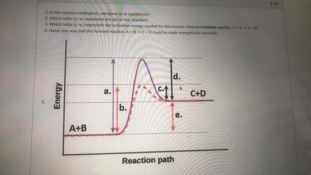 Solved 6 pts 1. Is this reaction endergonic, exergonic or at | Chegg.com
