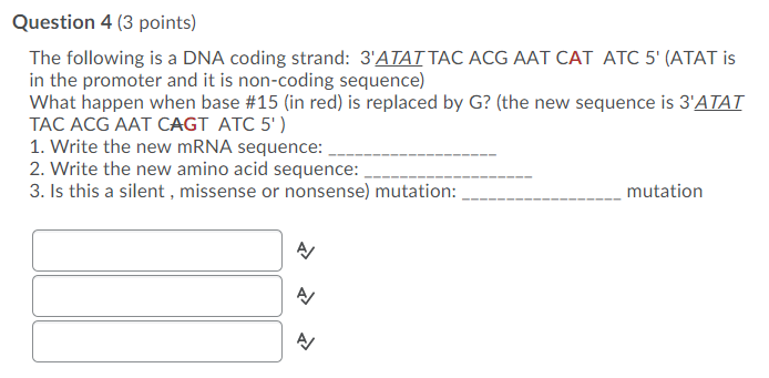 Solved Question 4 (3 points) The following is a DNA coding | Chegg.com