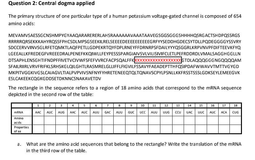 Solved Question 1: Central Dogma The below DNA sequence | Chegg.com