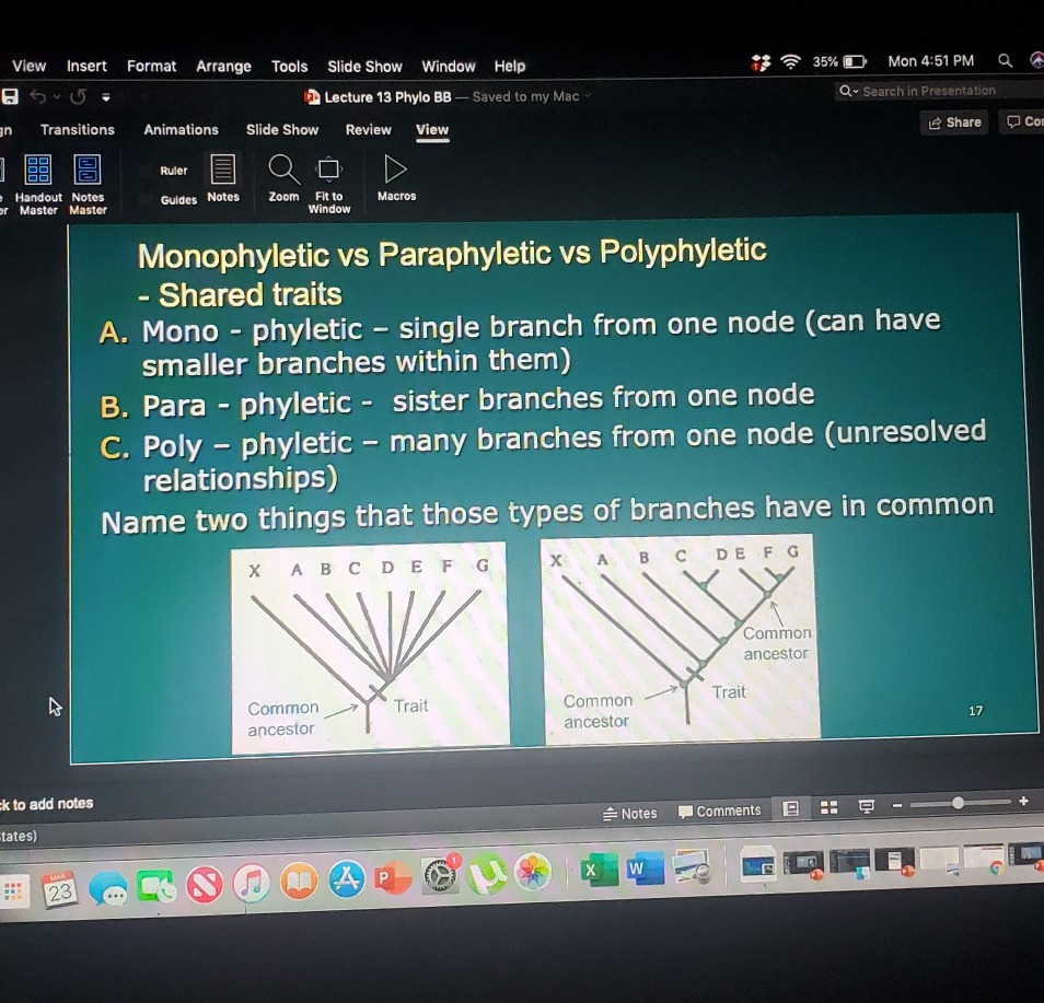 Solved Name two things that Monophyletic, Paraphyletic, and | Chegg.com Solved Name two things that Monophyletic, Paraphyletic, and | Chegg.com