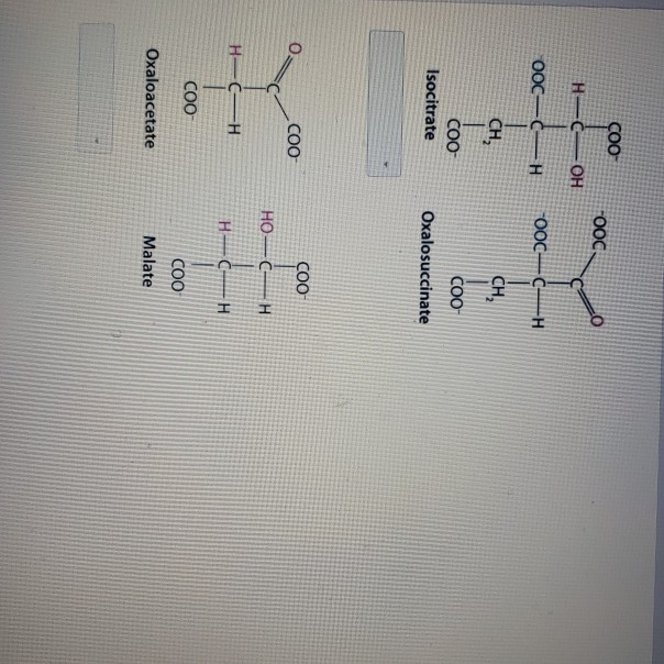 Solved Examine the pairs of molecules and identify the more | Chegg.com