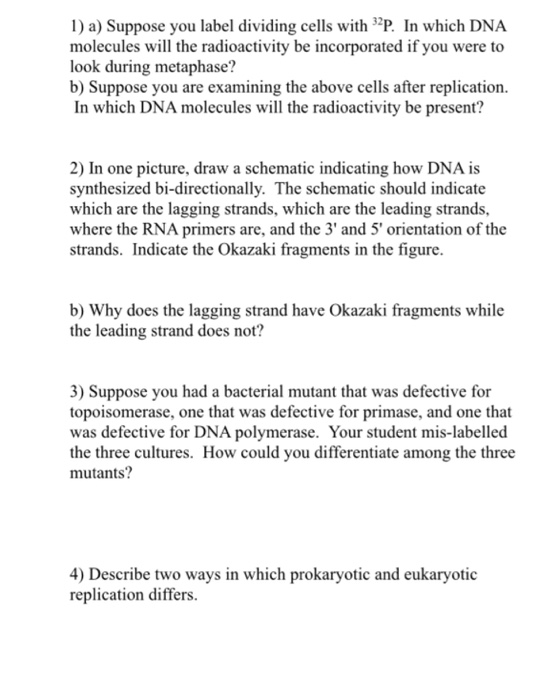 Solved a) Suppose you label dividing cells with ^32P. In | Chegg.com