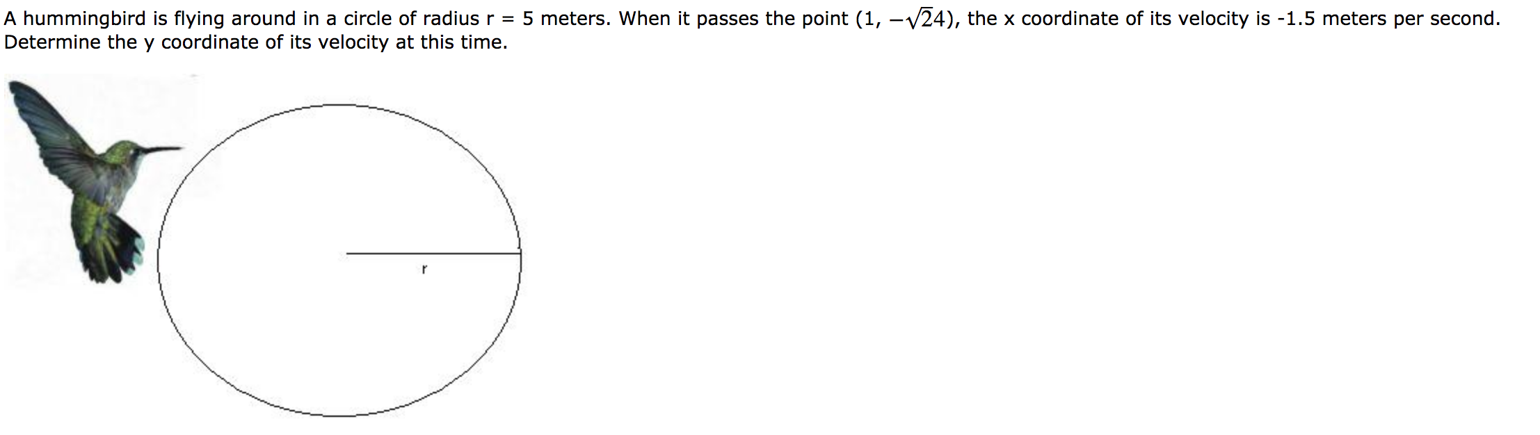 A hummingbird is flying around in a circle of radius | Chegg.com