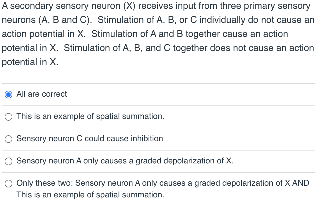 A secondary sensory neuron (X) receives input from | Chegg.com