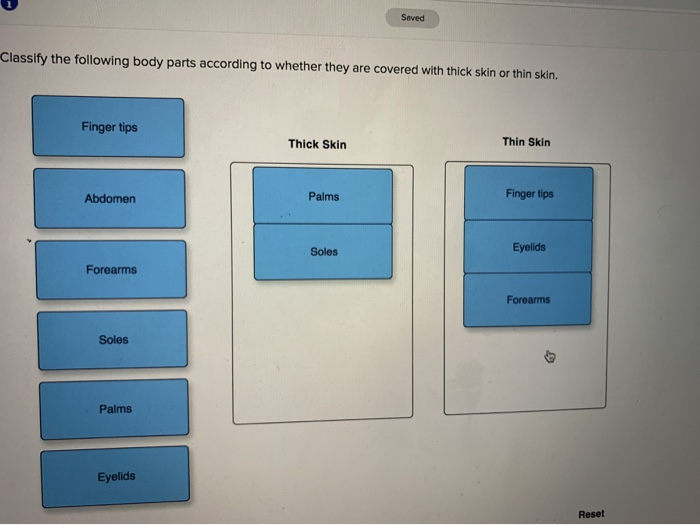 Solved Saved Classify the following body parts according to | Chegg.com