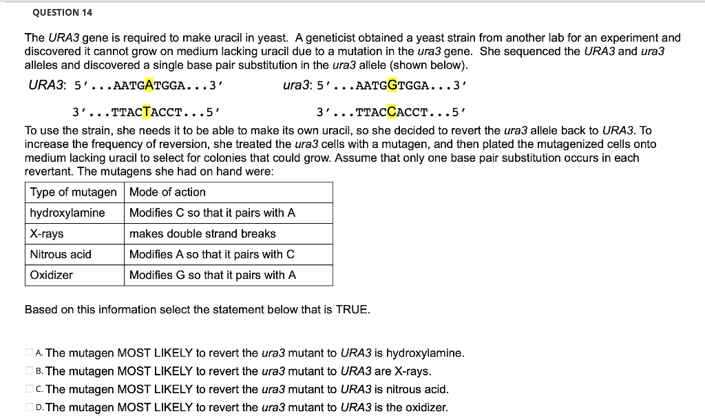 Solved QUESTION 14 The URA3 gene is required to make uracil | Chegg.com