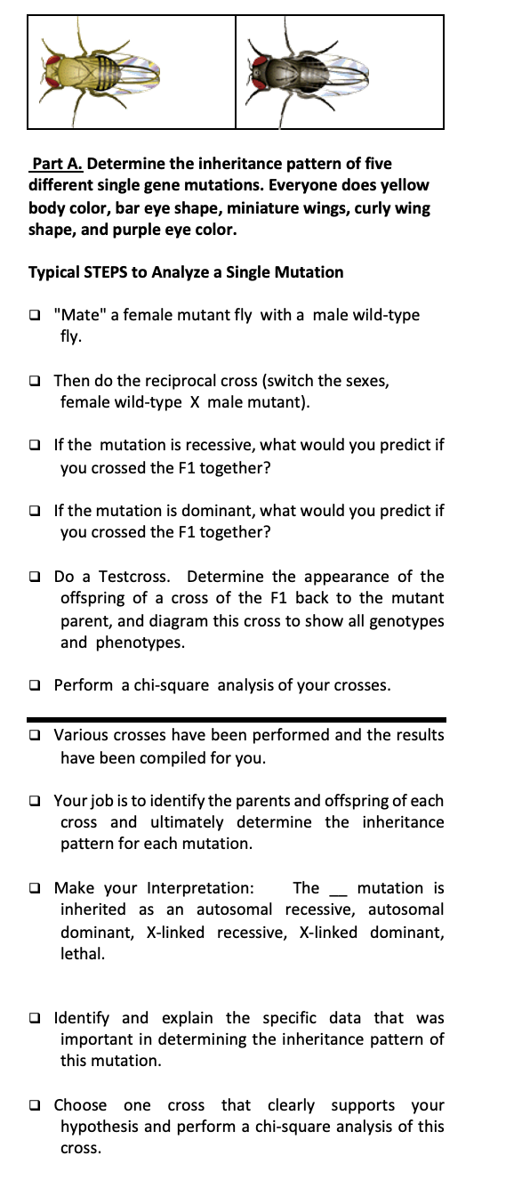Solved Part A. Determine the inheritance pattern of five | Chegg.com