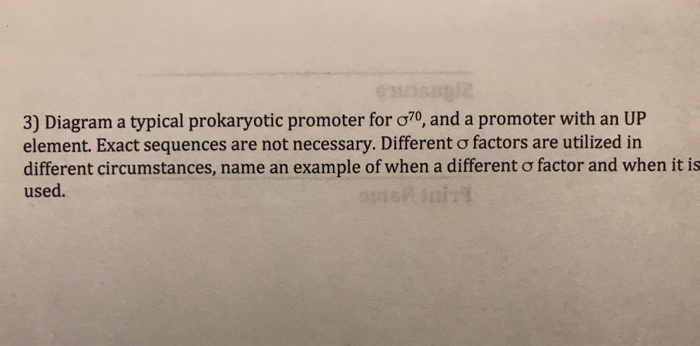 Solved 3) Diagram a typical prokaryotic promoter for σ70, | Chegg.com