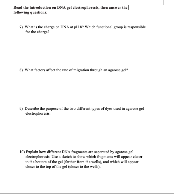 Solved Read the introduction on DNA gel electrophoresis, | Chegg.com