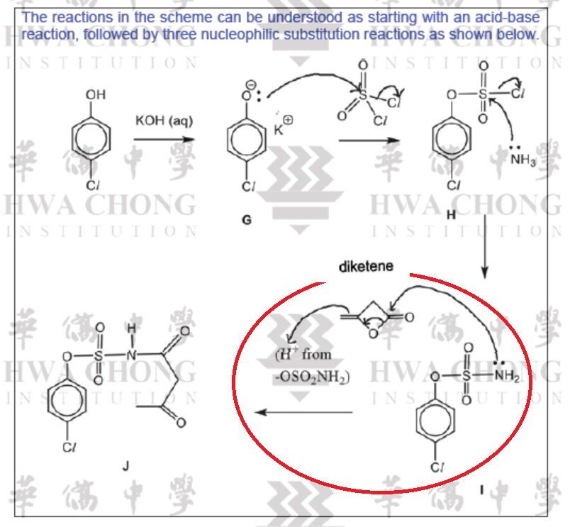 Solved Please explain the detailed mechanism in the | Chegg.com