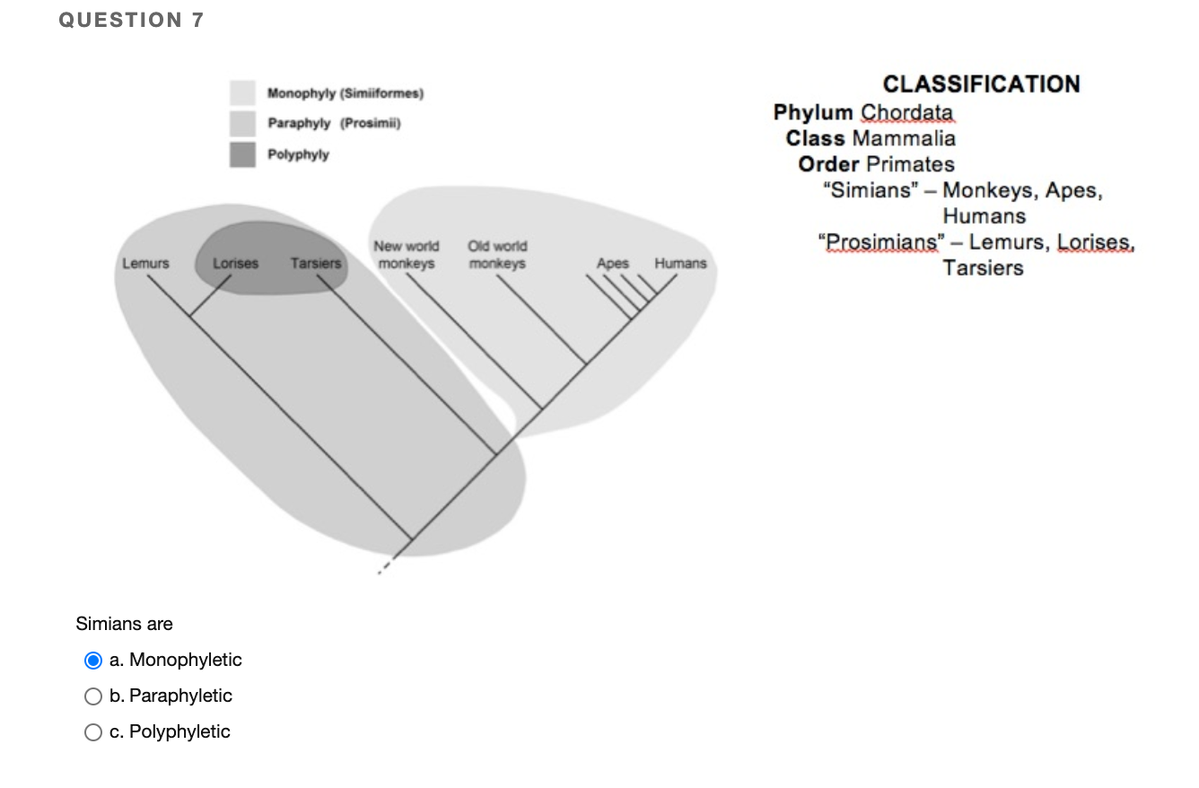 Solved QUESTION 13 In the cladogram shown, the animals | Chegg.com