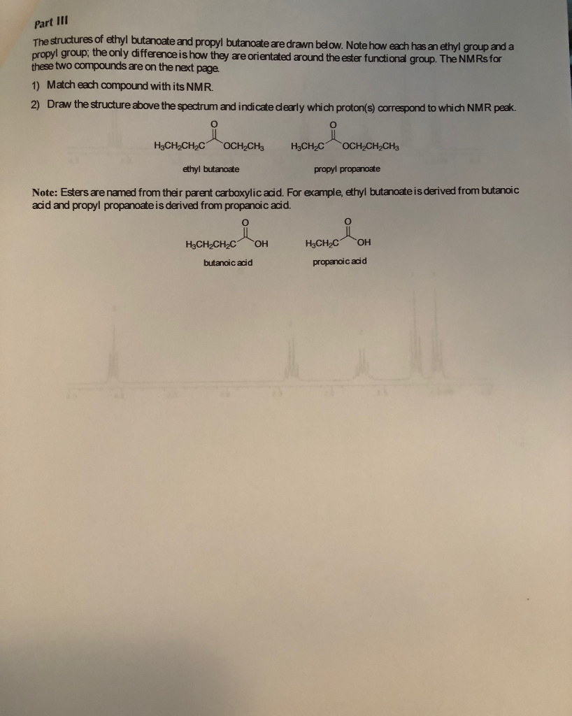 Solved Part Iii The Structures Of Ethyl Butanoate And Propyl